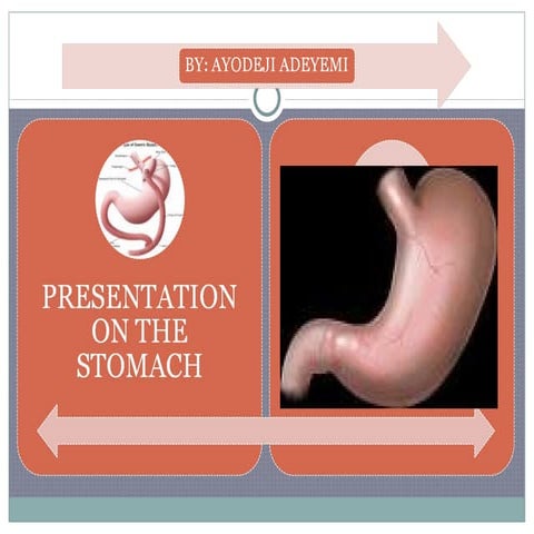 Medical Term Presentation 1 | PPT