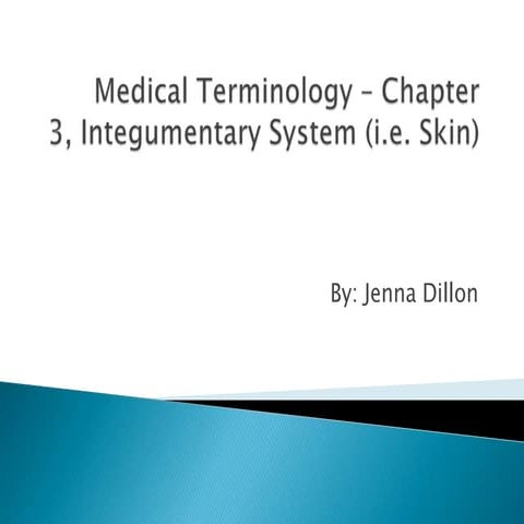 Medical terminology – Chapter 3B Skin | PPTX