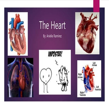 Medical Terminology Presentation 1: The Heart | PPTX