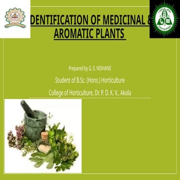 IDENTIFICATION OF THE MEDICINAL AND AROMATIC PLANTS | PPTX