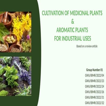 medicinal crop production Cultivation.pptx