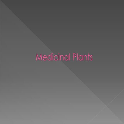 Medicinal plants | PPTX | Herbs and Supplements | Alternative Medicine