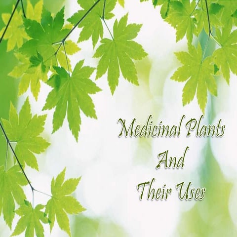 Medicinal plants | PPTX