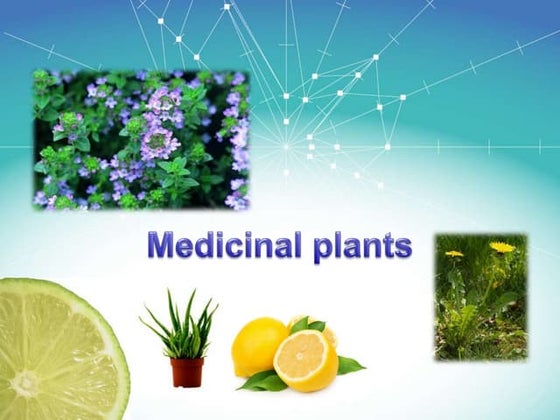 A presentation on medicinal plants | PPT