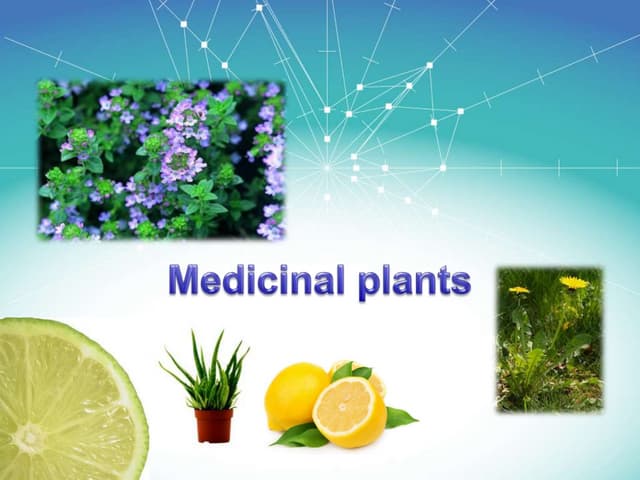 Medicinal plants importance,scope and uses. | PPTX
