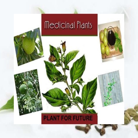 Medicinal plants list | PDF