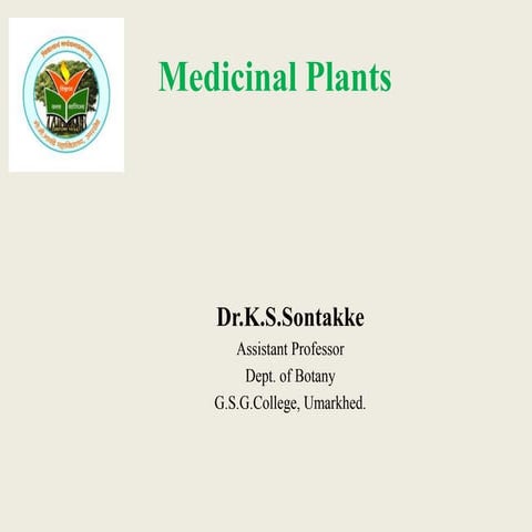 Medicinal Plants.pptx