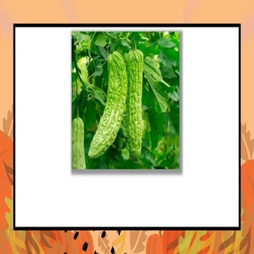 Medicinal Philippine Plants for Grade 3 .pptx