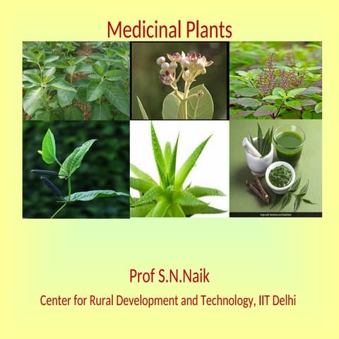 Medicinal plants and their importance | PPTX