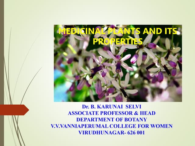 Caesalpinioideae | PPTX | Gardening | Home & Garden