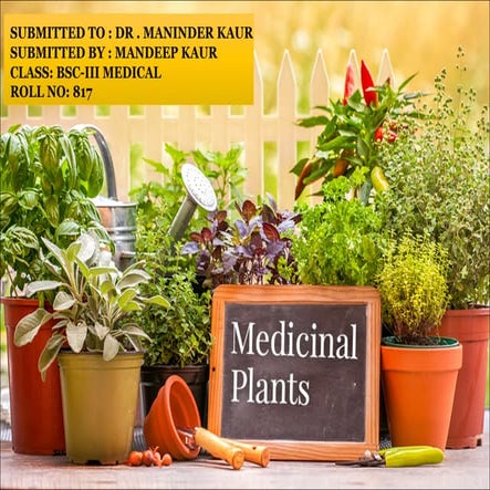 MEDICINAL PLANTS BOTANY which includes their economic importance | PDF