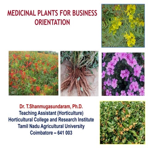 Medicinal plants and their importance | PPTX