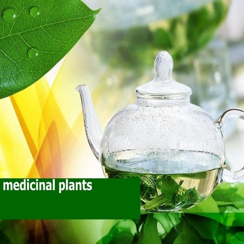 medicinal_plants_ppt.pptx