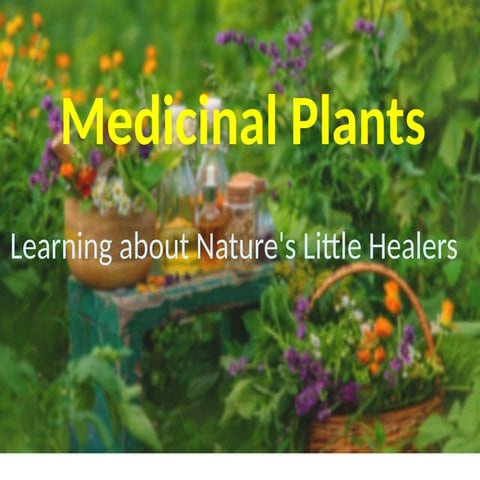 Medicinal_Plants_Presentation used in indian household holy basil, neem ...