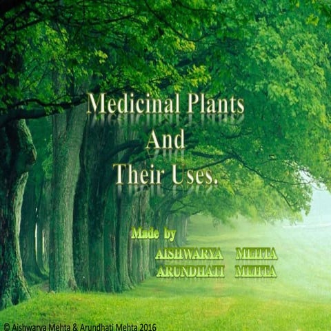 Medicinal plants and their importance | PPTX