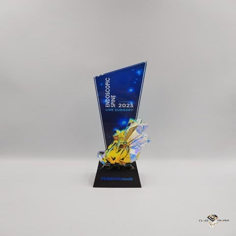 Wooden Star Crystal Trophies at Clazz Trophy Malaysia | #1 Reliable ...