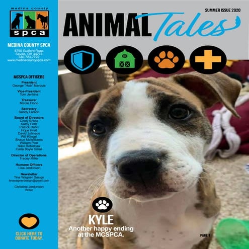 Medina County SPCA – Summer Issue 2020 | PDF