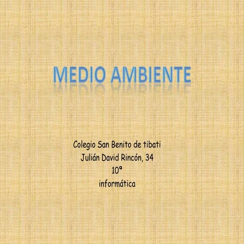 Medio ambiente | PPTX