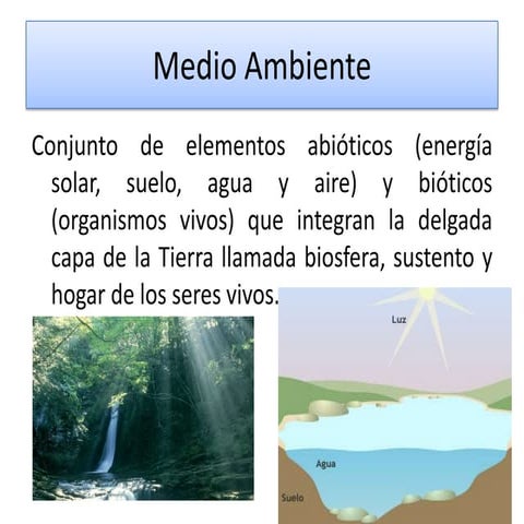 El Medio ambiente | PPTX