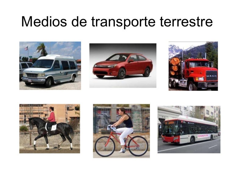 Medios de transporte terrestre