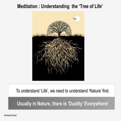 Meditation slides | PDF