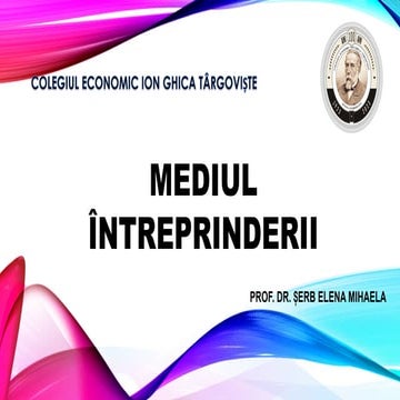 Mediul întreprinderii - micromediul, mezomediul, macromediul | PPT