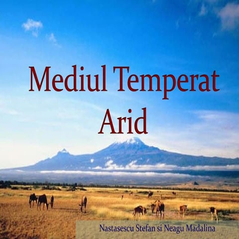 Mediul temperat oceanic 11 c | PDF