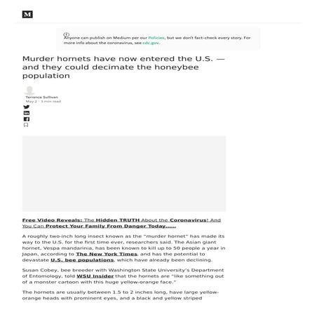 Murder hornets have now entered the U.S. | PDF