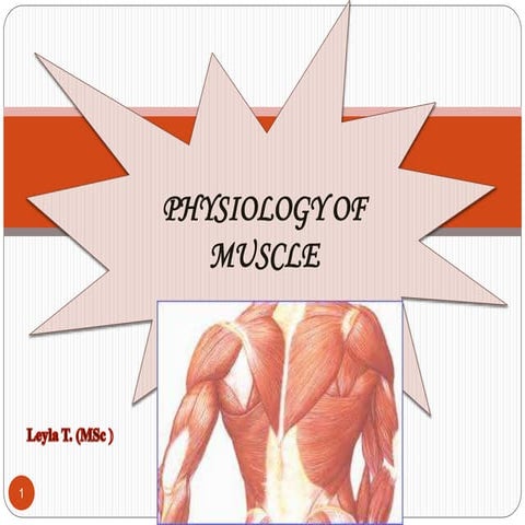 MUSCLES (THREE TYPES OF MUSCLES IN THE BODY) | PPT