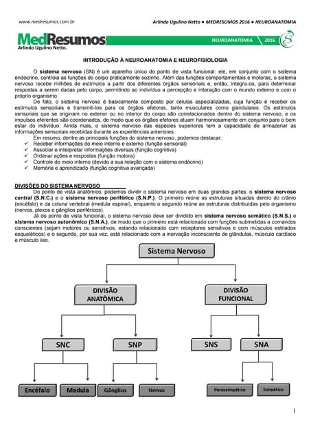 Medresumos 2016 Neuroanatomia 09 Estrutura E Funções Do Cerebelo Pdf