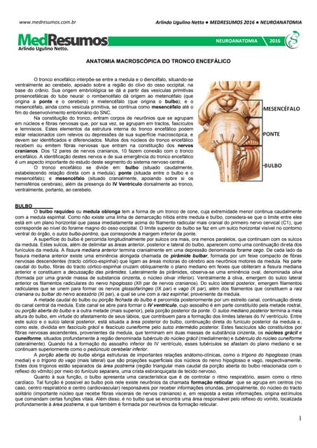 Medresumos 2016 Neuroanatomia 09 Estrutura E Funções Do Cerebelo Pdf