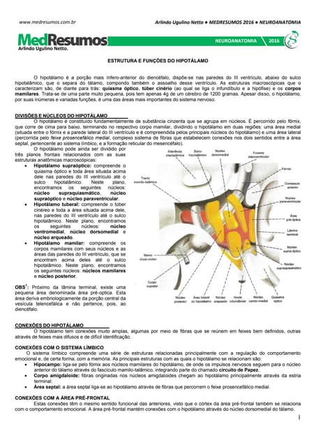 Medresumos 2016 Neuroanatomia 09 Estrutura E Funções Do Cerebelo Pdf