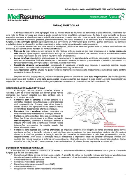 Medresumos 2016 Neuroanatomia 09 Estrutura E Funções Do Cerebelo Pdf