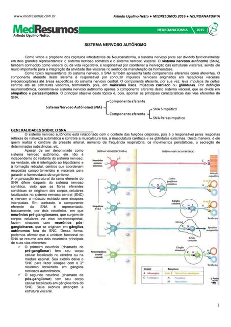 Medresumos 2016 Neuroanatomia 09 Estrutura E Funções Do Cerebelo Pdf
