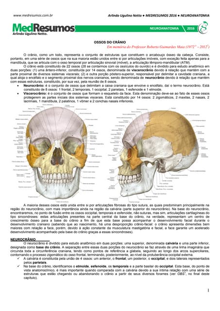 Medresumos 2016 Neuroanatomia 09 Estrutura E Funções Do Cerebelo Pdf