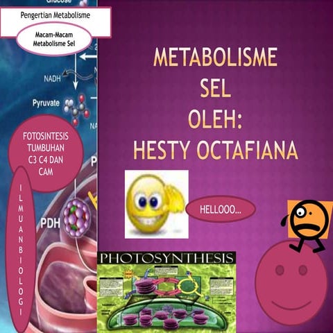 Medtek hesty octafiana | PPT
