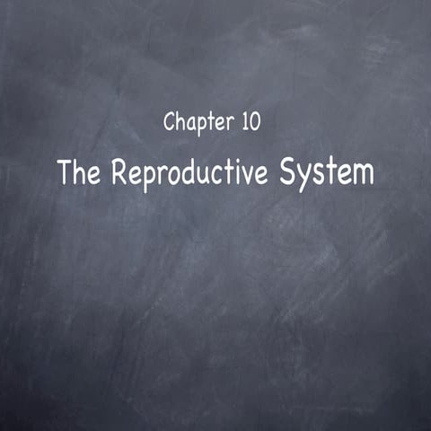 MALE AND FEMALE REPRODUCTIVE SYSTEM.pptx