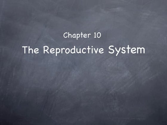 MALE AND FEMALE REPRODUCTIVE SYSTEM.pptx | Pregnancy | Reproductive Health