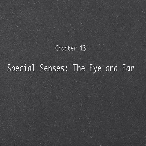 Sensory system, ear,eye anatomy | PDF