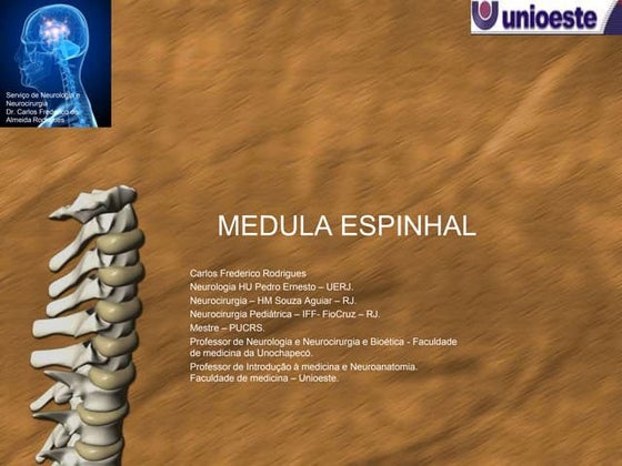 Medresumos 2016 Neuroanatomia 09 Estrutura E Funções Do Cerebelo Pdf