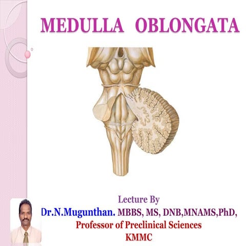 MEDULLA OBLONGATA - Prof.Dr.N.Mugunthan. KMMC.pdf