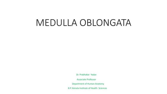 Detailed Anatomy of Medulla Oblongata ppt | PPT