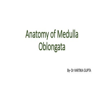 MEDULLA OBLONGATA - Prof.Dr.N.Mugunthan. KMMC.pdf