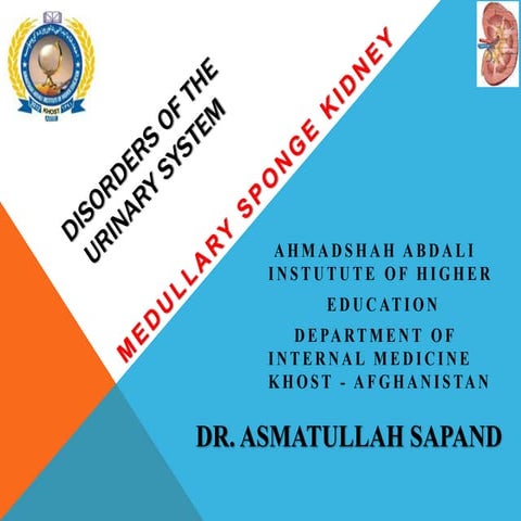 Medullary sponge kidney (msk) | PPTX