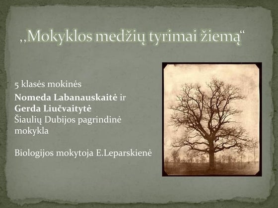 Goda_Characiejiene_NAMAS_ir_as | PPT