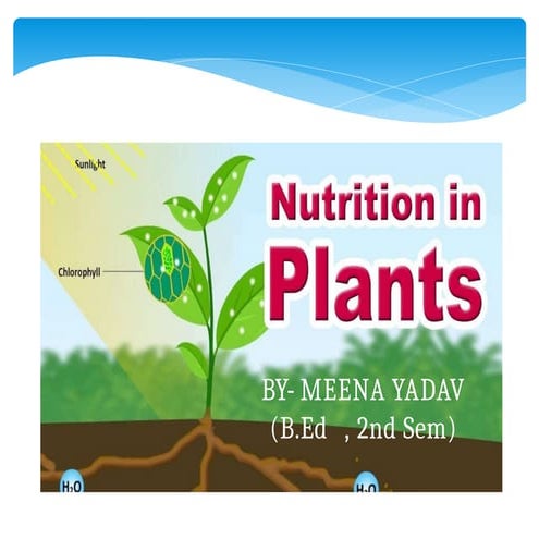 meena.presentation nwww.pptxhhhjhhgggfgrdfgd | PPTX