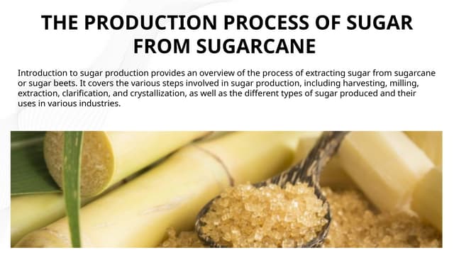 Process of sugar production from sugarcane - sugar factory | PDF