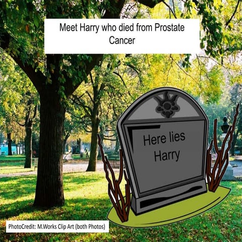 Meet harry | PPT