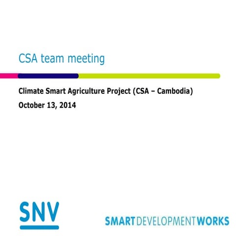 Brief document for CSA project team meeting 13 October 2013 | PPT