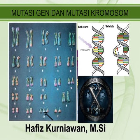 Meeting II-Mutasi geomnwjsjsnsnsksjs.pdf